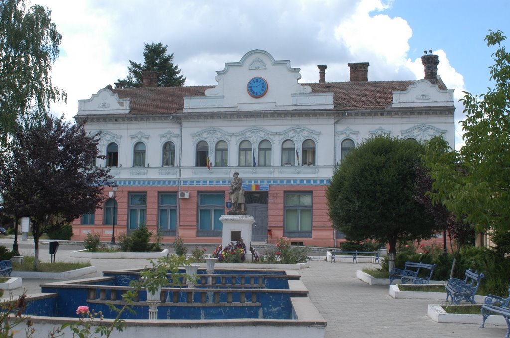 PRIMĂRIA BOCŞA | Ghidul Primariilor