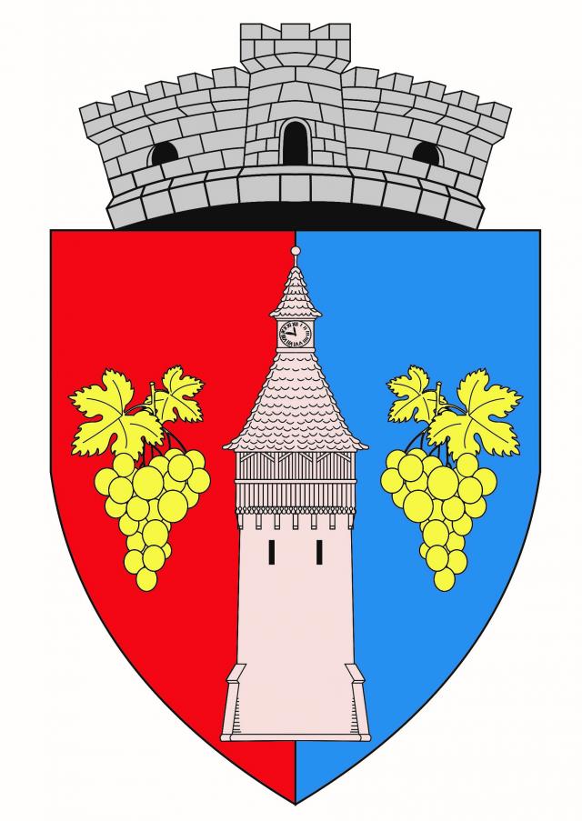 PRIMĂRIA BIERTAN | Ghidul Primariilor