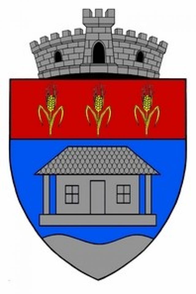 PRIMĂRIA MODELU | Ghidul Primariilor