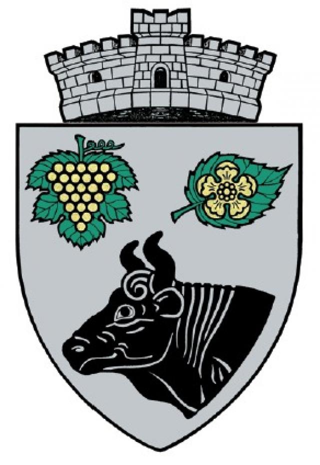 PRIMĂRIA ZAGĂR | Ghidul Primariilor