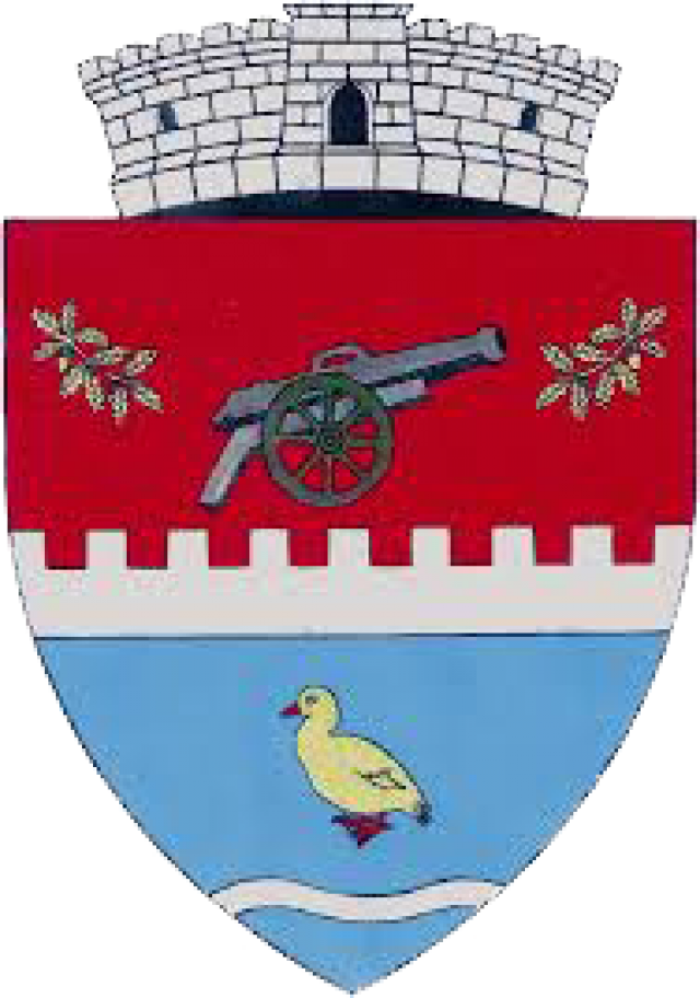 PRIMĂRIA TUNARI | Ghidul Primariilor