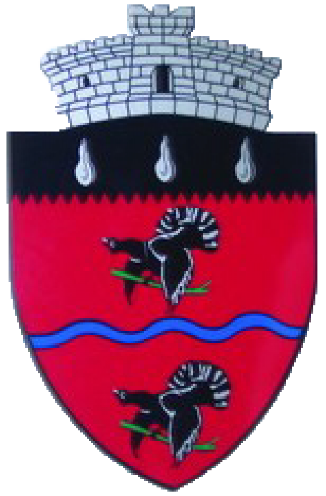 PRIMĂRIA CÂRLIBABA | Ghidul Primariilor