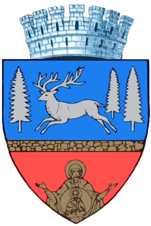 PRIMĂRIA BACĂU | Ghidul Primariilor