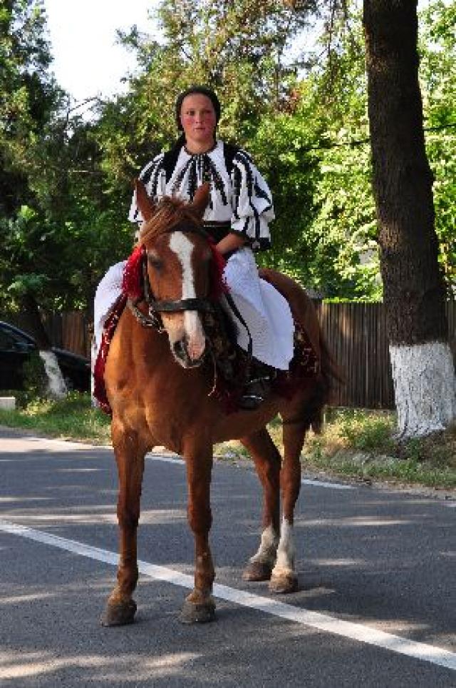 NEDEIE da la Sf. Ilie, | PRIMĂRIA POLOVRAGI | Ghidul Primariilor